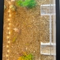 Aquariums Cave Ornament Plastic Fish Shrimp Tunnel Hiding Decors For ...