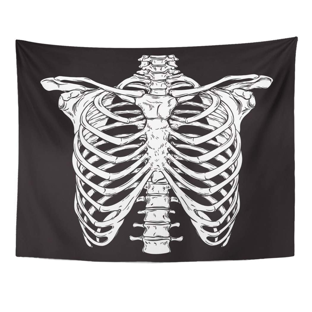 ZEALGNED Line Anatomically Correct Human Ribcage White Over Halloween ...