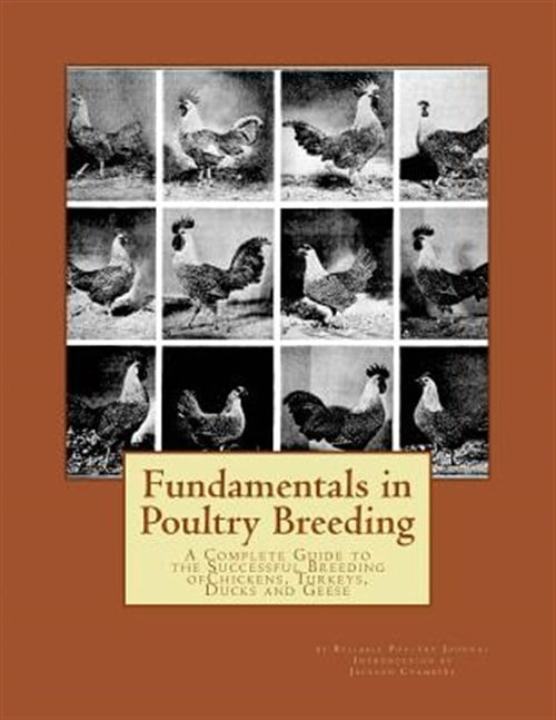 Pre-Owned Fundamentals in Poultry Breeding : A Complete Guide to the ...