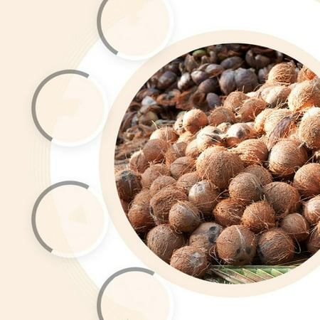 serony Garden Portable Coco Coir Brick Water Absorbent Breathable ...