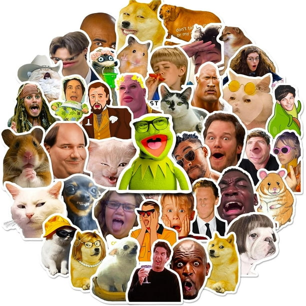 Funny Meme Stickers 100 Pcs, Pop Culture Vinyl Waterproof Sticker Pack ...