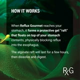 Reflux Gourmet Natural Acid Reflux Relief with Alginate, Mint Chocolate ...
