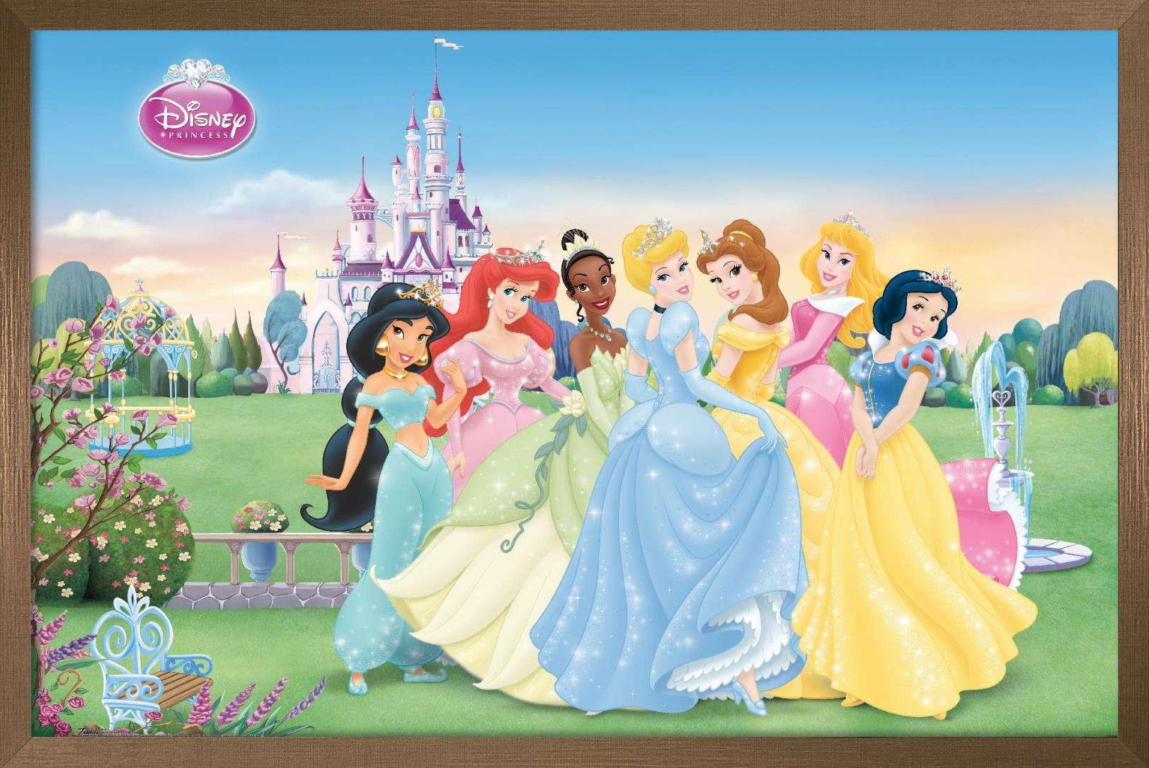 Disney Princess - Collection Wall Poster, 22.375" x 34", Framed ...