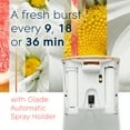 Glade Automatic Spray Refill, Joyful Citrus & Daisies Air Freshener, 6. ...