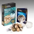 National Geographic Break Open 10 Geodes Crystal Science Set - Walmart.com