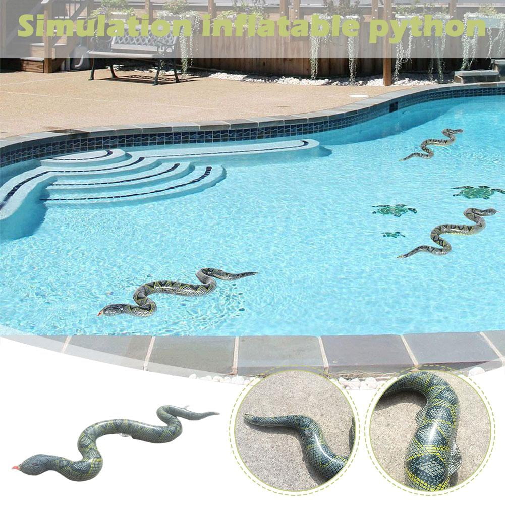 Snake In Swimming Pool