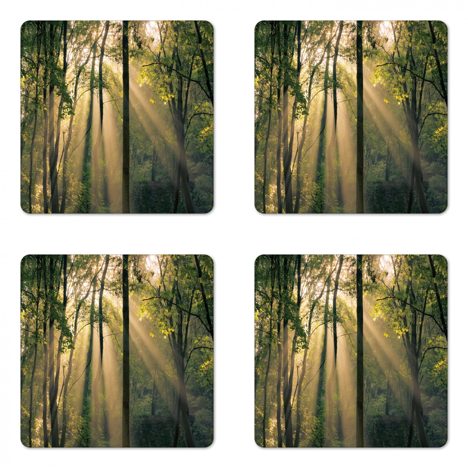 Forest Coaster Set of 4, Morning Sunrays Through Trees Summertime ...