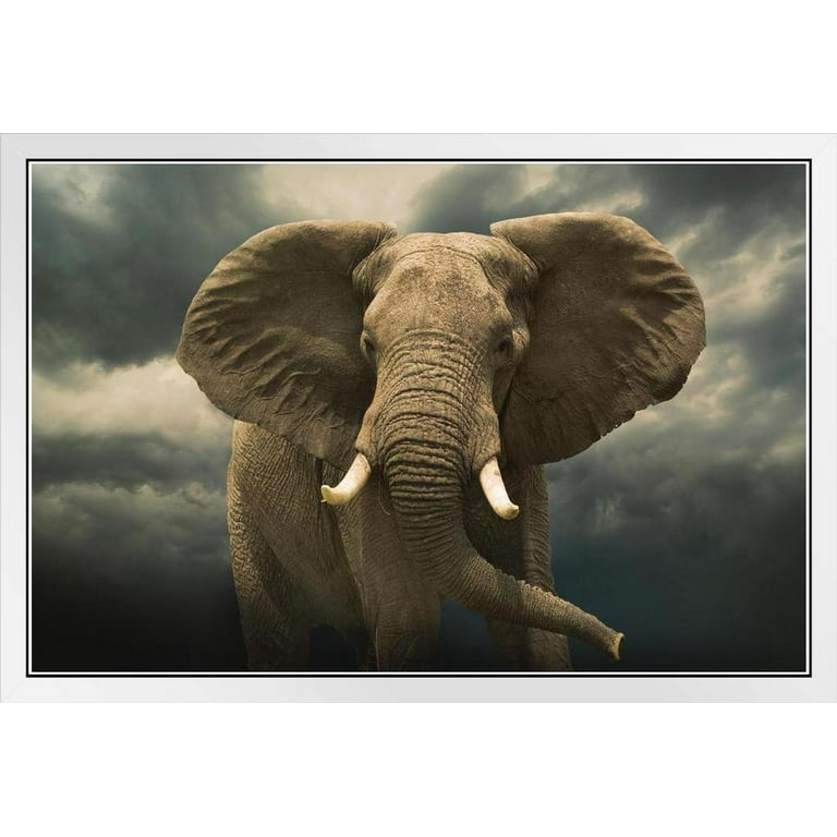 Charging Elephant Drawing