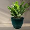 Sunnydaze Large Ceramic Plant Pot - Round Outdoor Glazed Ceramic ...