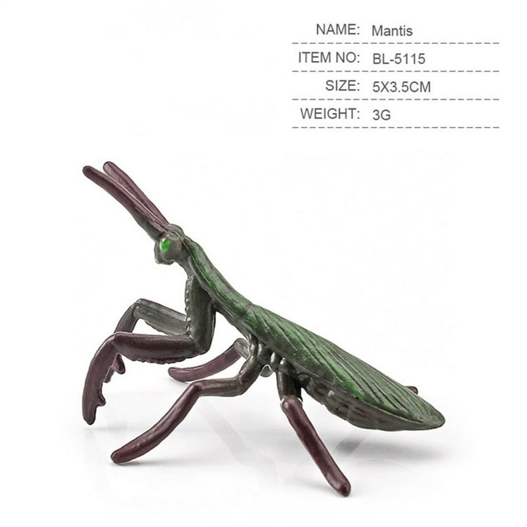 Insect Toys SIENON Realistic - 12Pcs Large Plastic Bugs Figures Set For ...