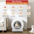 Famistar Auto-Cleaning Cat Litter Box, APP Control, Odor Removal ...