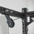 Titan Fitness T-3 Series Tricep and Lat Pulley System, Rated 440 LB ...