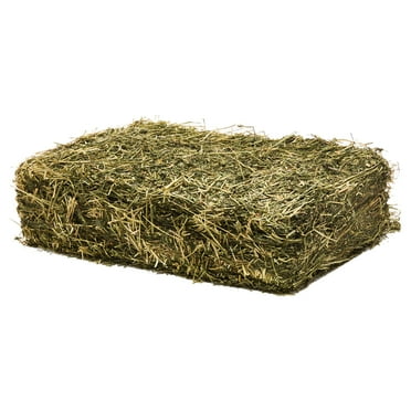 Rabbit Hole Hay, Ultra Premium Alfalfa; 5lb box - Walmart.com