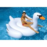 Swimline Giant Inflatable Ride-On 75" Swan Floats, Black + White ...