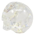 Ebros Clear Translucent Witching Hour Gazing Skull Statue 5.5" Long ...