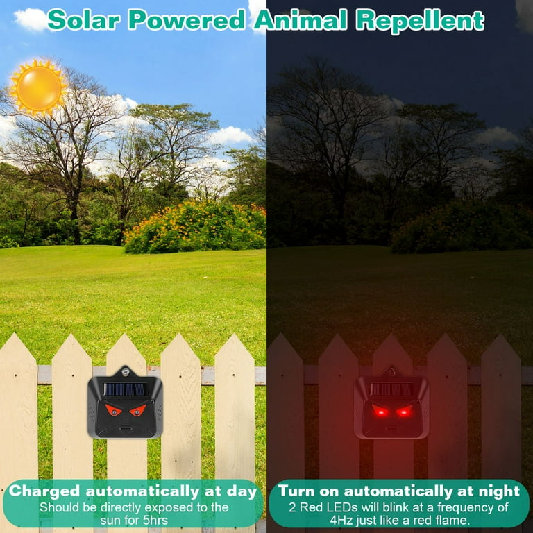 Bird Repellent 4 Pack Predator Lights For Chicken Coop, Solar Botswana ...