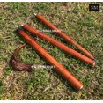 Eagle Head Brass Walking Stick Victorian Handle Unique Designer ...