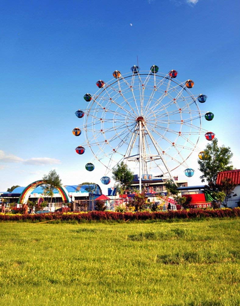 ABPHOTO Polyester 5x7ft Lawn Ferris Wheel Photography Backdrops Photo ...