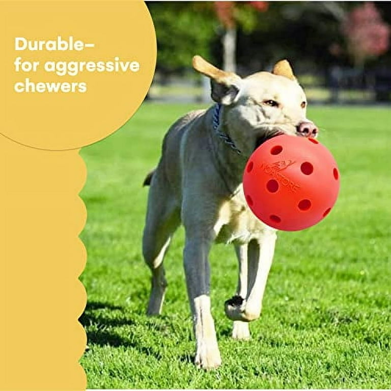 Interactive Dog Ball For Training Indestructible Dog Ball For ...