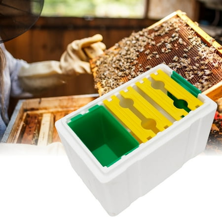 ANGGREK Queen Bee Mating Box Pollination Box Foam Frames Beekeeping ...