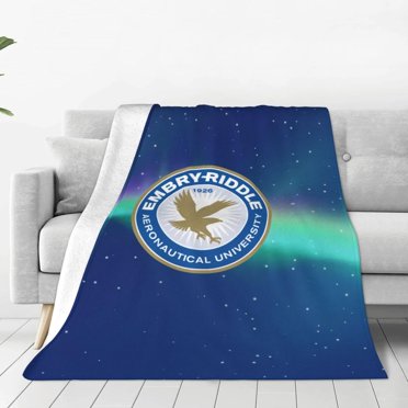 DC Comics Batman Nightwing Plush Twin Blanket, 60" x 80" - Walmart.com