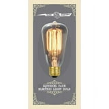 Globe Electric 60W Vintage Edison S60 Squirrel Cage Incandescent ...