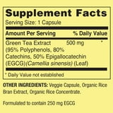 Spring Valley Standardized Extract Green Tea Dietary Supplement ...