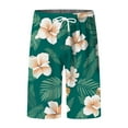 Chu Chu Mens Summer Digital 3d Printed Shorts Elasticated Waisted Beach