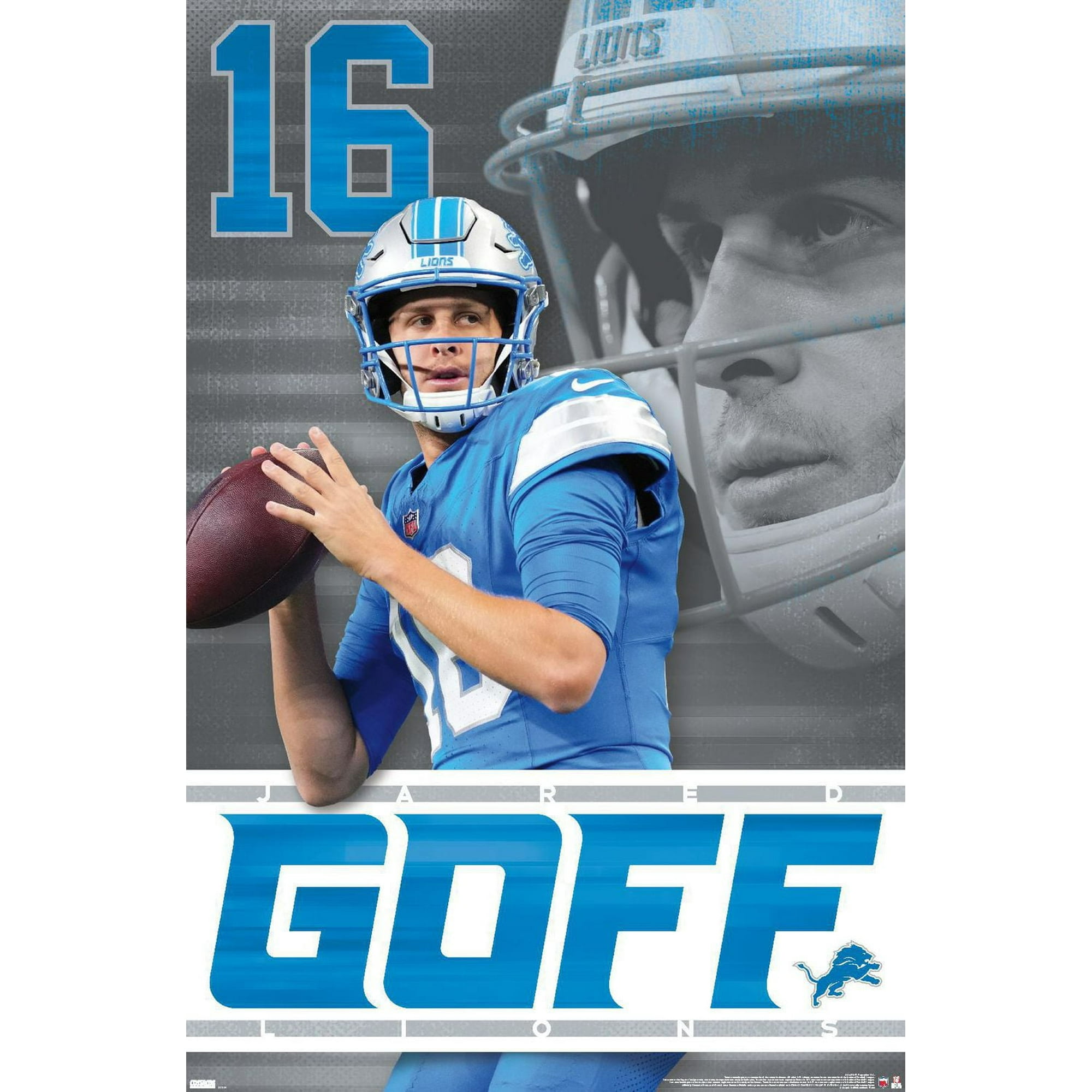 Click here for Trends International Nfl Detroit Lions - Jared Gof... prices