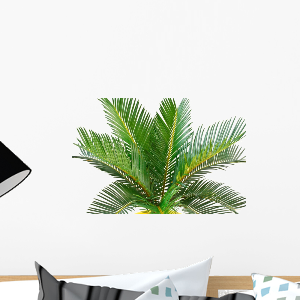 Sago Palm Wall Decal by Wallmonkeys Peel and Stick Graphic (18 in W x ...