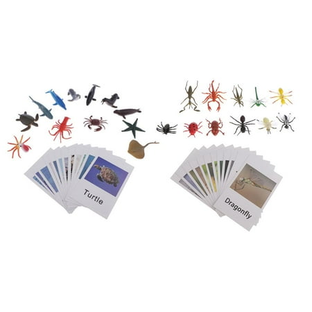 Montessori Animal Match Game Cards Marine Animal Matching Montessori ...