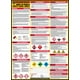 How To Read A Safety Data Sheet (SDS/MSDS) Poster, 24 x 33 Inch, Multicolor - Walmart.com
