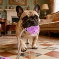 Suction Cup Dog Toy, Interactive Chew Ball, Durable Teething Rope Toy ...