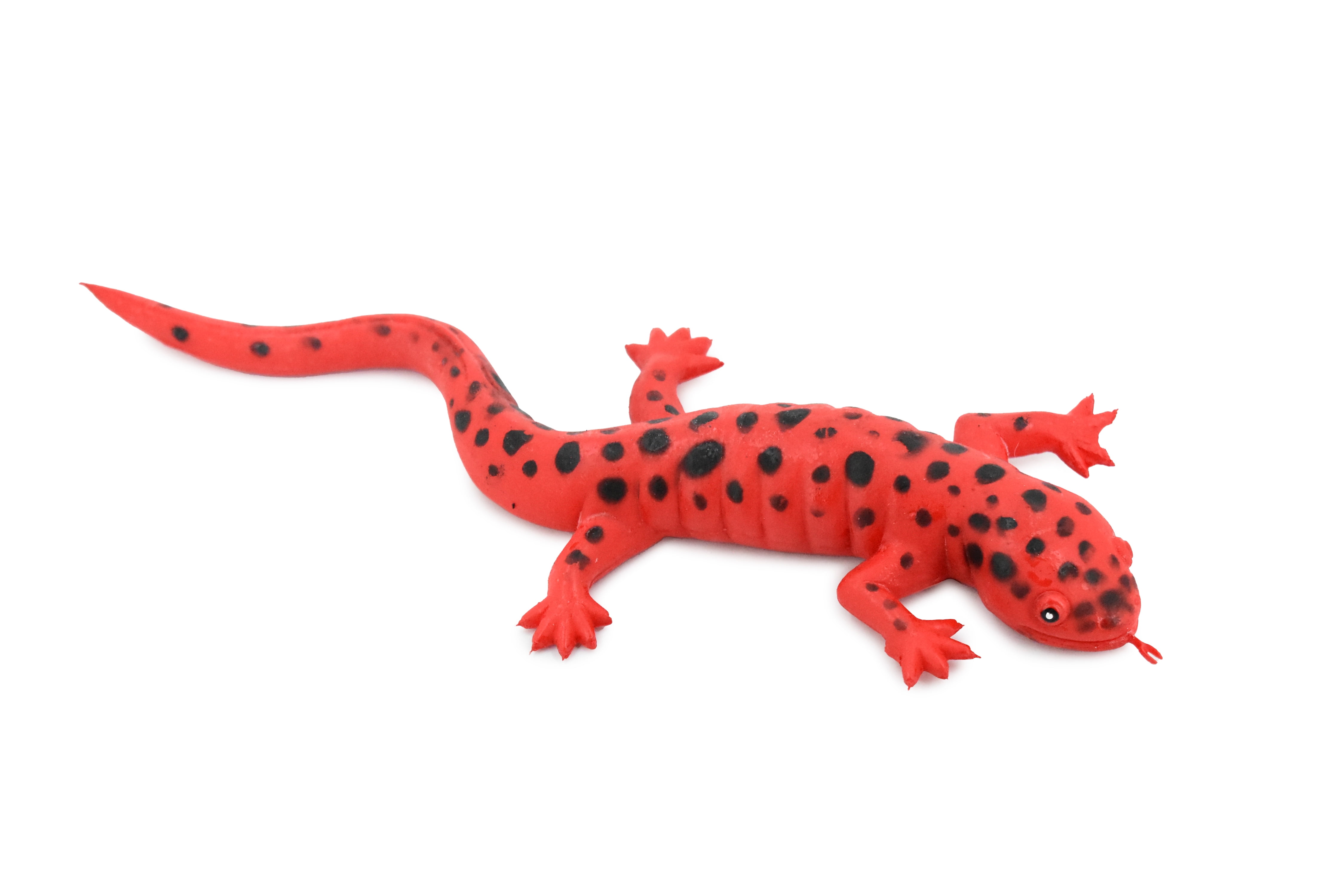 Salamander, Red Salamander, Rubber Amphibian, Educational, Realistic ...