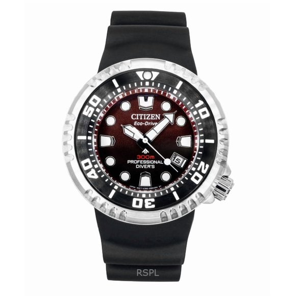 Citizen Eco Drive Wrist Watches | Walmart Canada