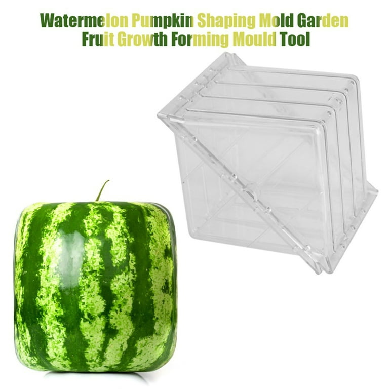 Square Watermelon Mold