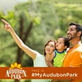 Audubon Park Woodpecker Snack Log, Wild Bird Feed, Dry, 1 Count per ...