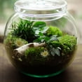 Sharpleaf Grass Ground Decor Fake Grass Miniature Grass Railroad Modelling Grass Models N Scale