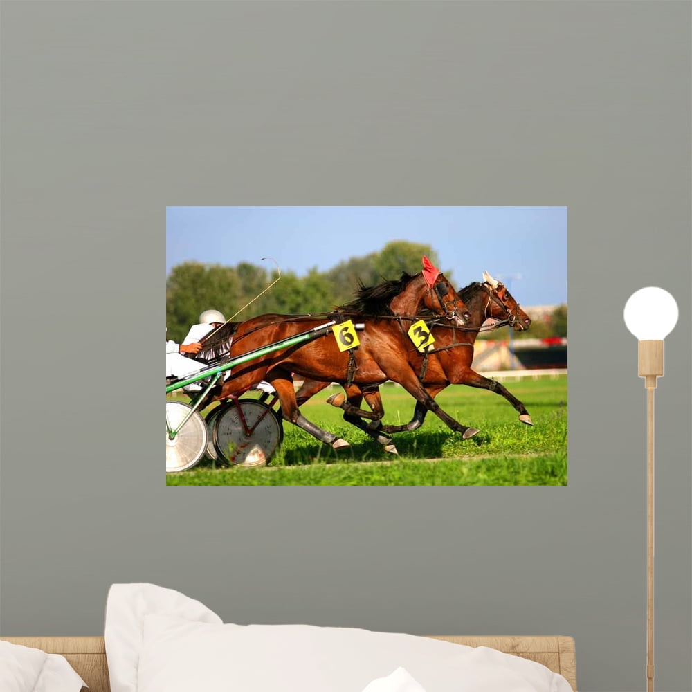Harness Racing Wall Mural Decal Sticker, Wallmonkeys Peel & Stick Vinyl ...