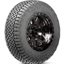Delinte Centurion H/T 225/65R17 102H All Weather Tire - Walmart.com