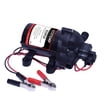 Eccotemp EccoFlo Triplex Diaphragm 12V Water Pump and Strainer ...