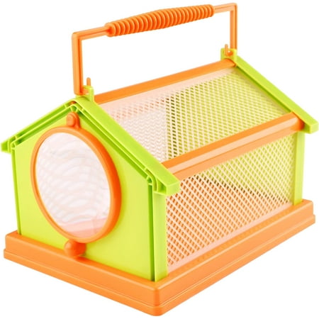 Insect Container Insect Observation Box Insect Box Insect Collection ...