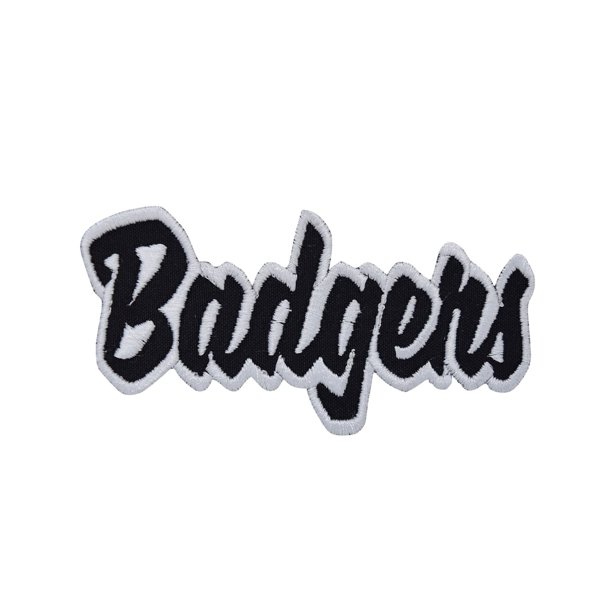 Badgers - Black/White - Team Mascot - Words/Names - Iron on Applique ...