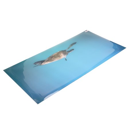 Fish Decoration Poster, 3D Effect Self Adhesive Aquarium Background ...