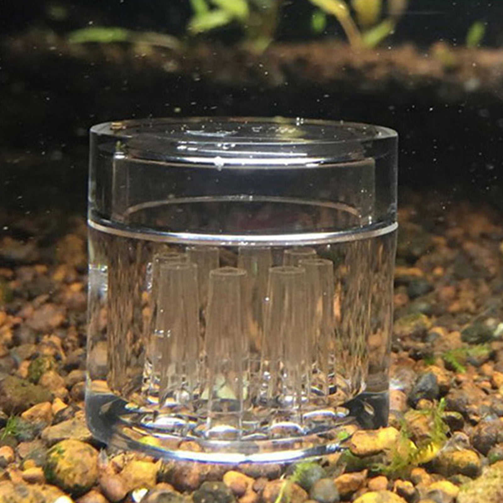 Buy HeroNeo Leech-Trap for Aquarium 8 Holes Transparent Acrylic Mini ...