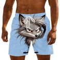 Daiosportswear Men's Lightweight Humorous Print Swim Shorts for Beach ...