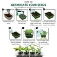 Stock Your Home Seedling Grow Starter Tray - Garden Sprouting Kit, 12 ...