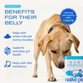Native Pet Probiotics for Dogs Supplement for Gut Health & Digestive ...