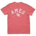 Ames Curved Logo Heavyweight Red TShirt Trending Tee Best Gift Shirts ...