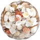 Coco Midrib Sea Shell Pack: Natural, 10 inches - Walmart.com